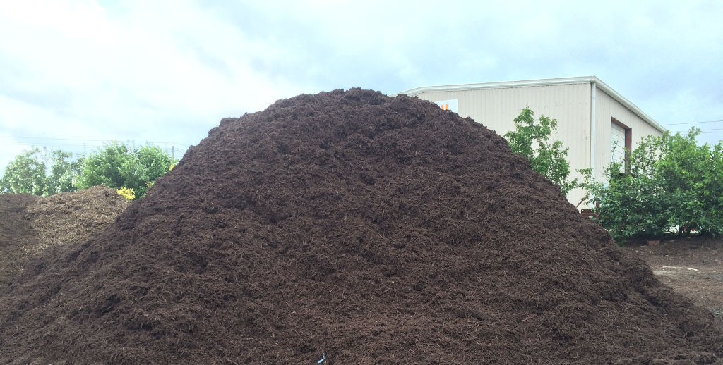 Dirt Yard - Earth Creations Landscaping